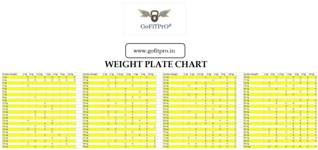 GoFiTPrO 20 in 1 Bench Double Support Pipe Size 2X2, 80kg Rubber Weight ...